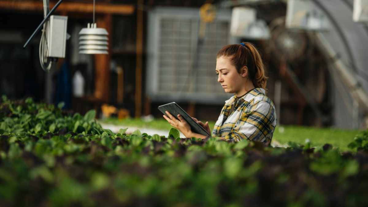 How Sustainable Manufacturing Can Improve Your Brand's Reputation and ...